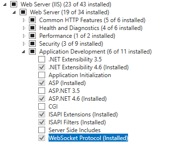 Enabling WebSocket Protocol – Bizview