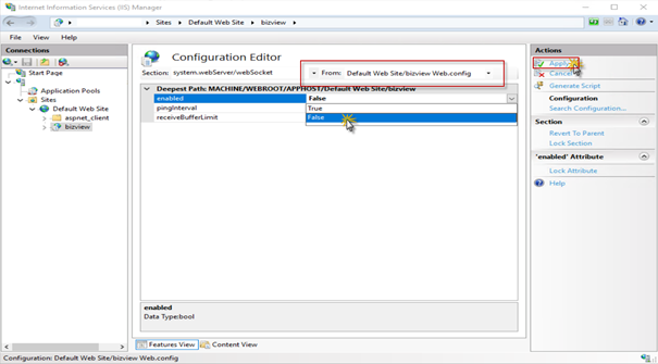 Enabling WebSocket Protocol – Bizview