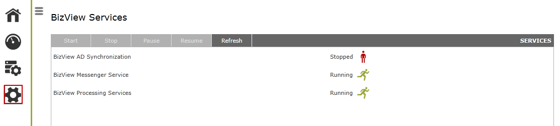 Services – Bizview
