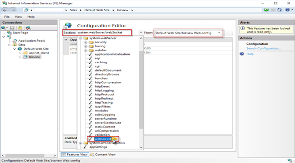 Enabling WebSocket Protocol – Bizview
